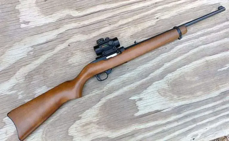 Top Six Best 22 Rifles (2021) - Gunners Den