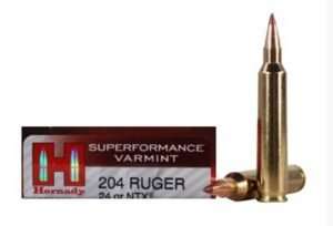 204 Ruger Ballistics - Gunners Den